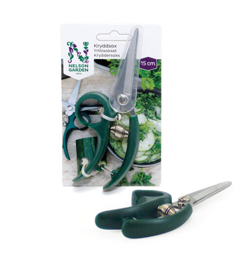 Tilli 'Bouquet' - Valikoidut yrttisiemenet