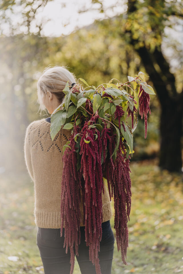 Löydä suosikkikukkasi