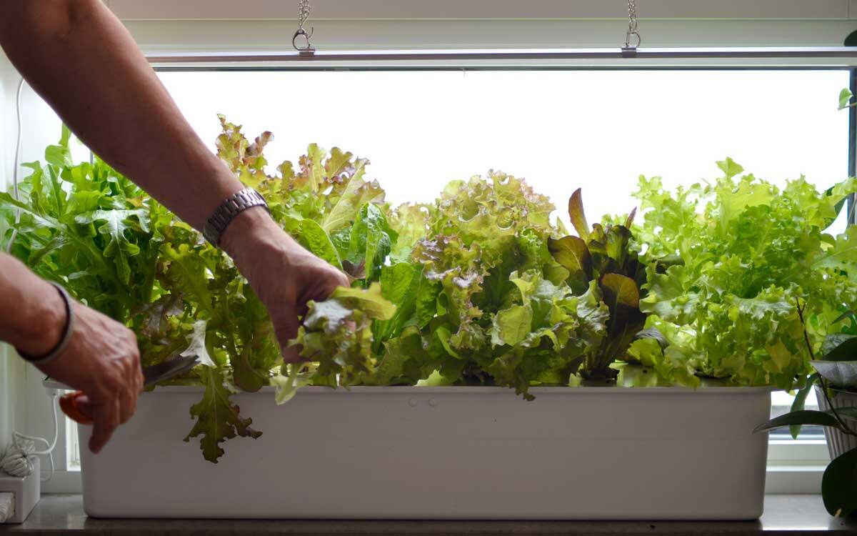 Reconnect to nature | Nelson Garden