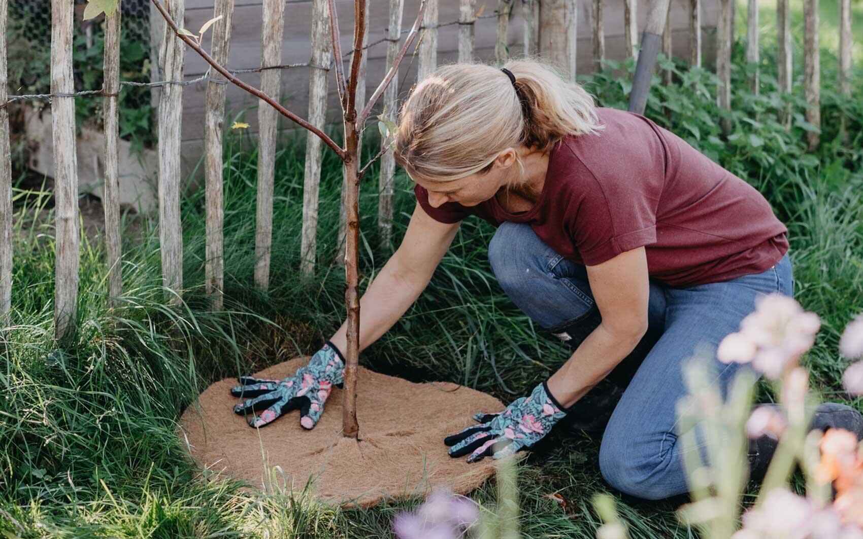 Reconnect to nature | Nelson Garden